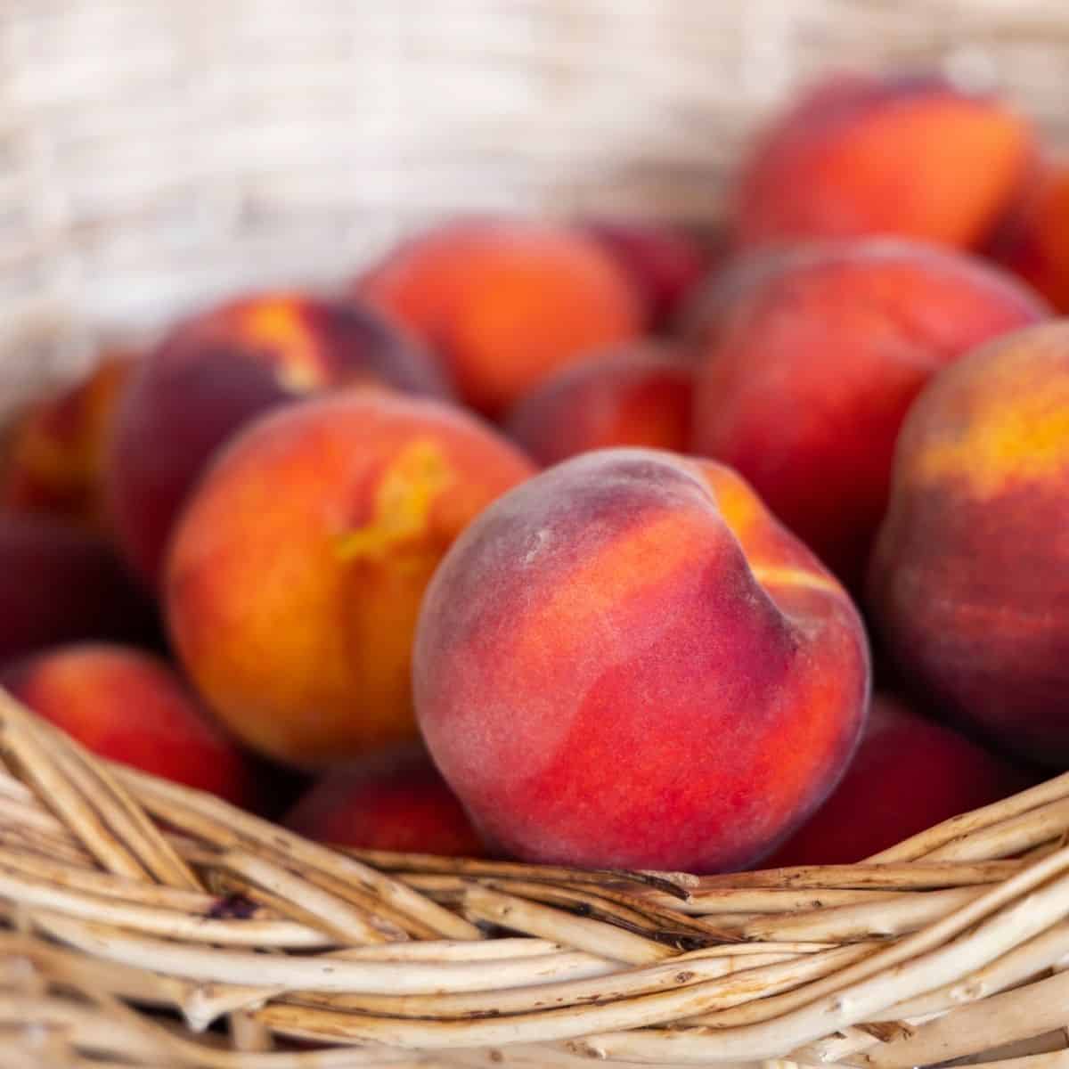 Fresh Peach Basil Salsa - Cook Eat Well